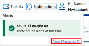 Viewing My Messages Online